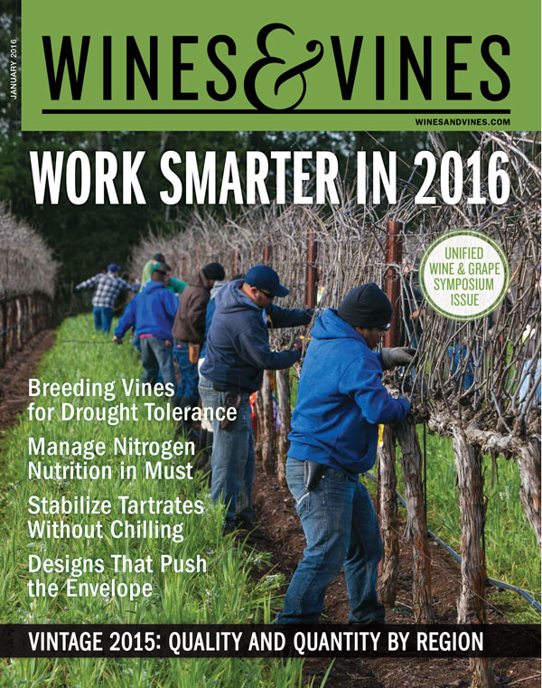 Wine Business Analytics